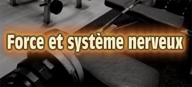 Jean Onche le Musclay - Devenir fort système nerveux